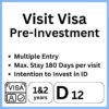Indonesia Pre-Investment Visa Application Service - D12
